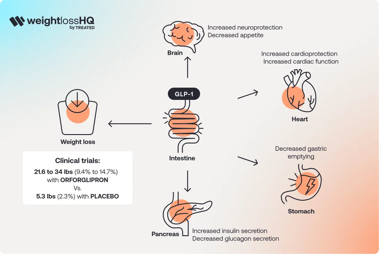 What Is Orforglipron? The New GLP-1 Pill | Treated UK